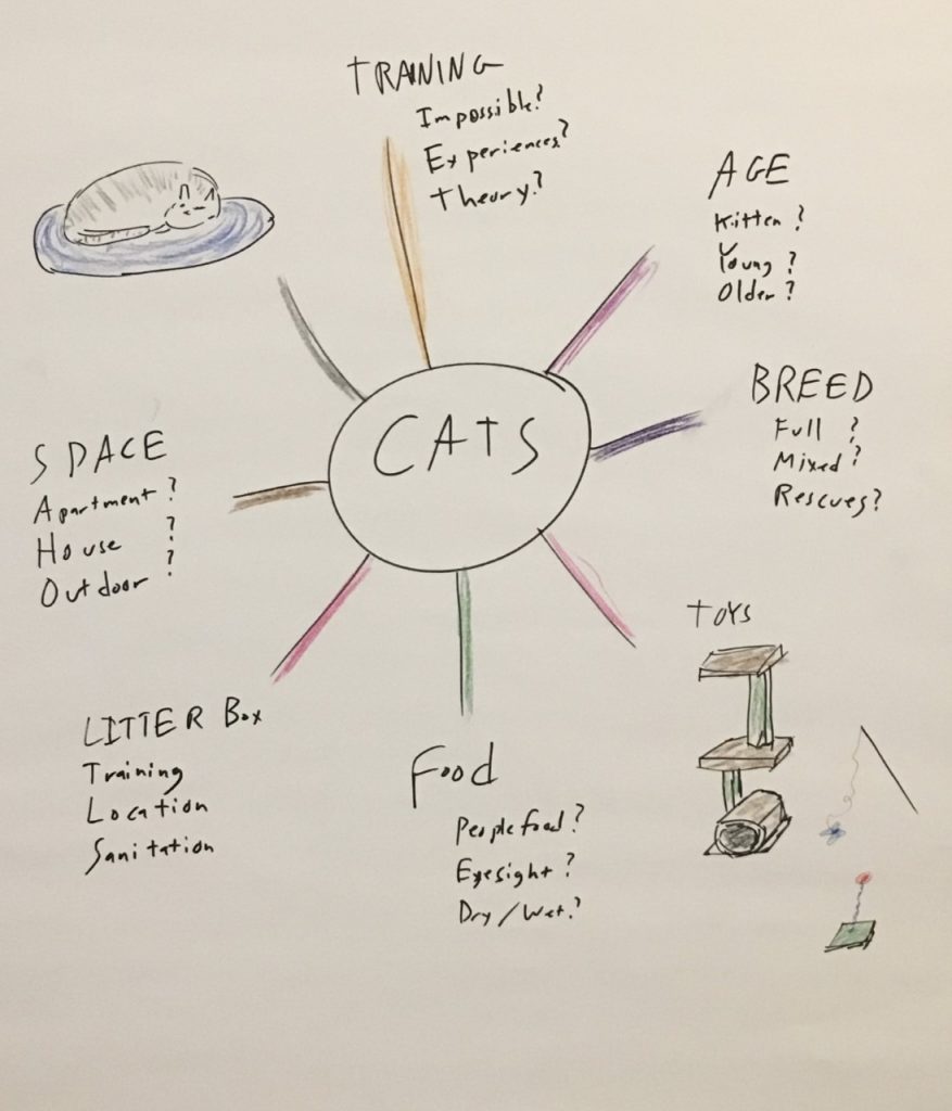 Mind Mapping and Spiderwebbing Your Ideas – Amber Royer